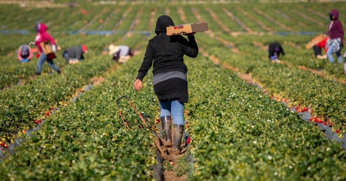 US-Mexico Farm Labor Policy Recommendation Launch | Wilson Center