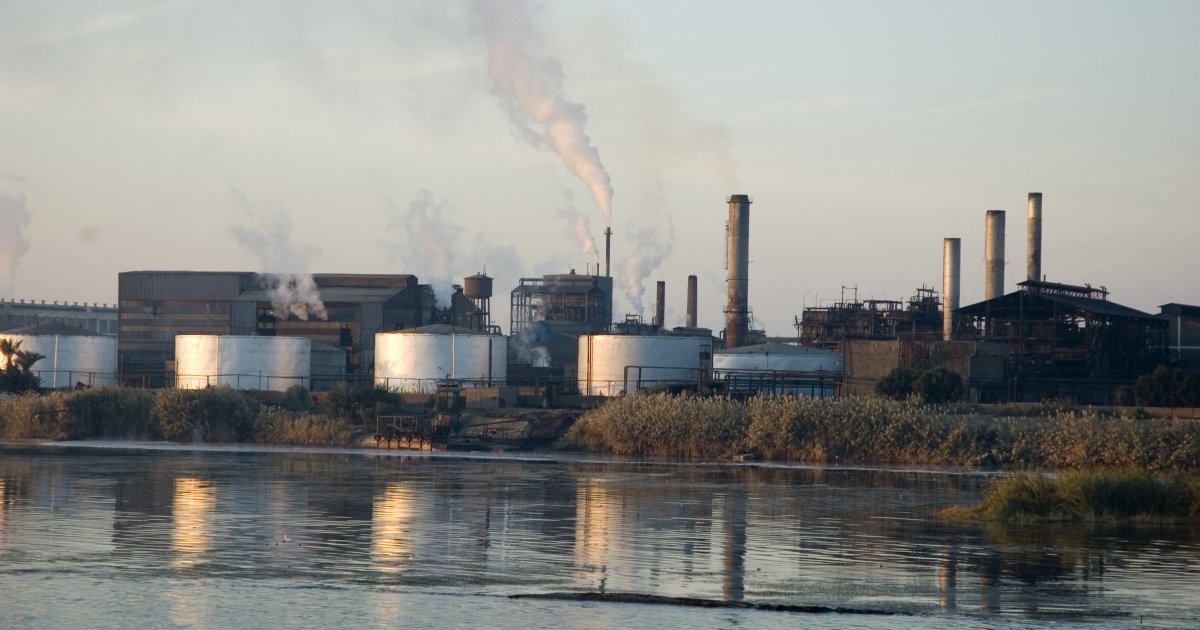 Book Talk | Egyptian Made: Women, Work, and the Promise of Liberation ...